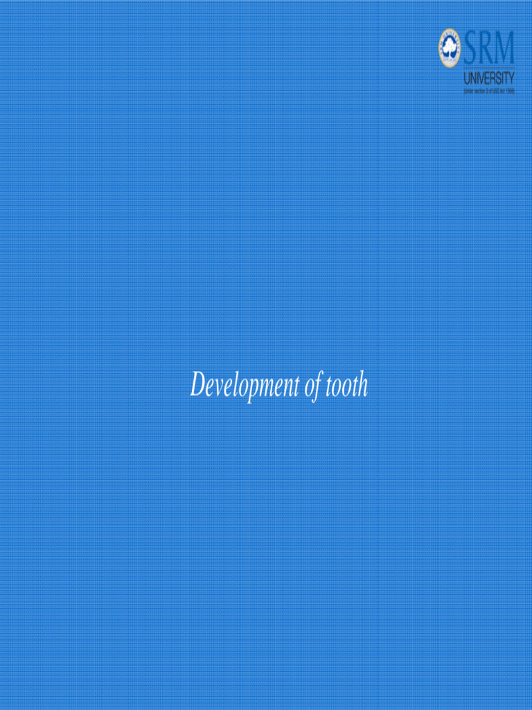 Tooth | PDF | Tooth | Epithelium