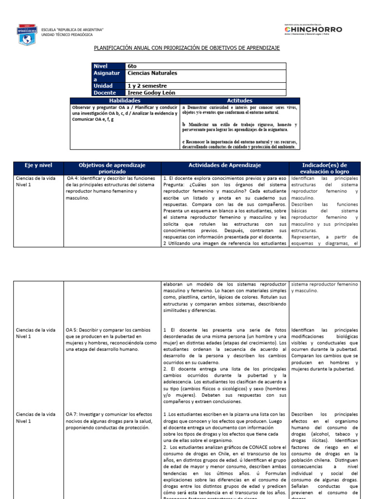 Planificación 6to Ciencias Naturales 2022 | PDF | Energía renovable ...