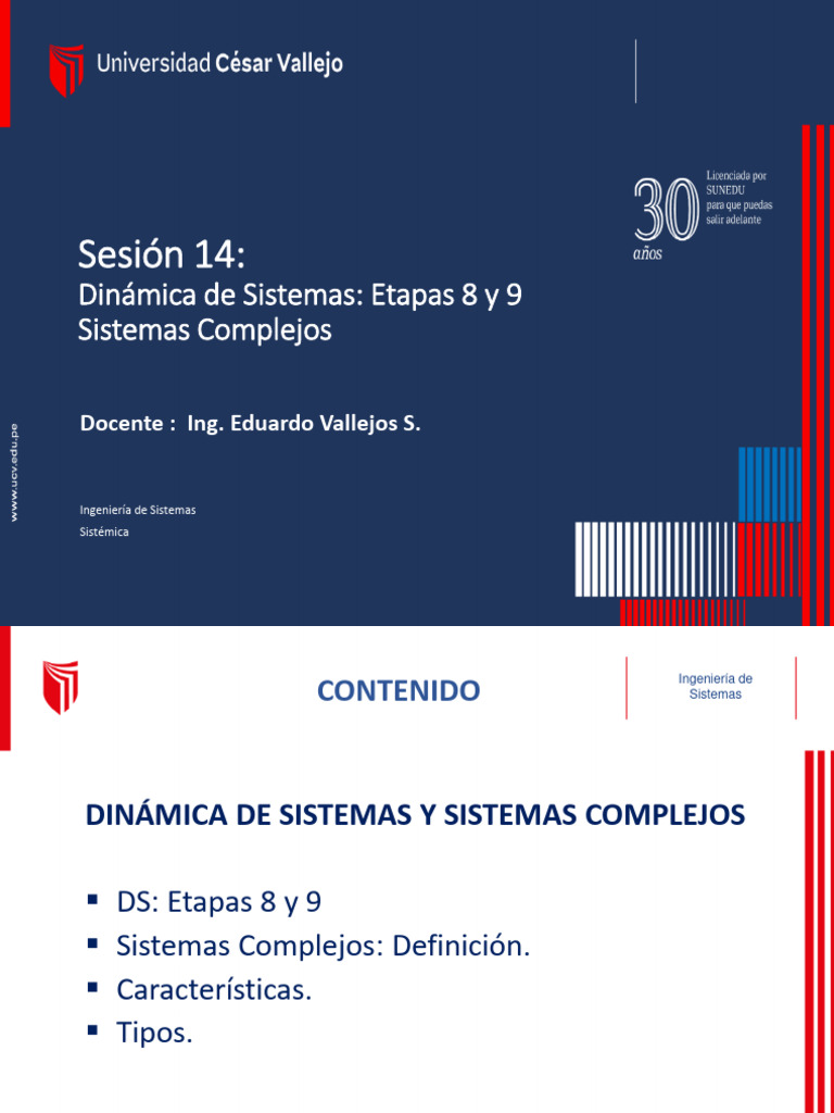 Sesión 14 - DS y Sistemas Complejos | PDF | Red neuronal artificial | Ciencia de sistemas