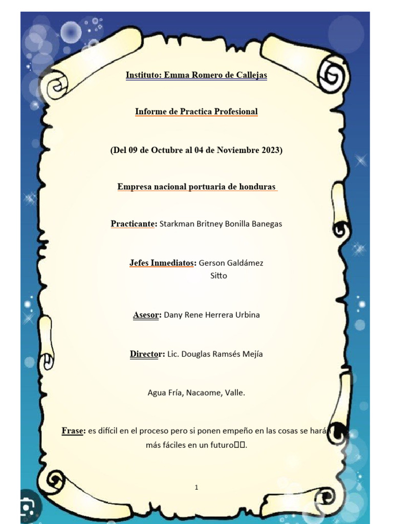 INFORME DE PRACTICA PROFESIONAL Starkman Bonilla | PDF | Business | Experiencia