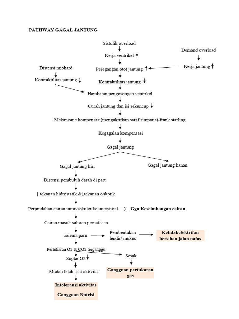 5c. PATHWAY GAGAL JANTUNG | PDF