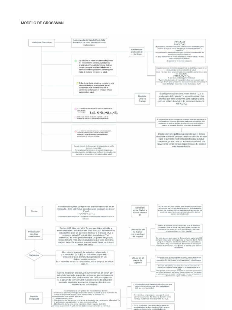 Modelo de Grossman | PDF