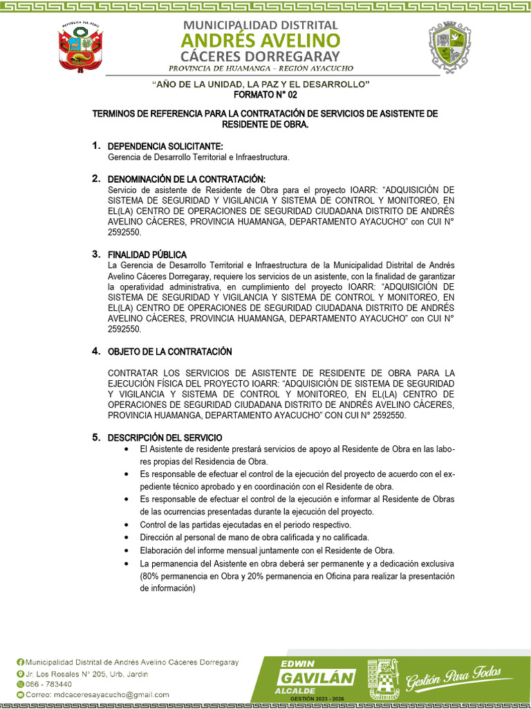 TDR - Asistente v3 | PDF