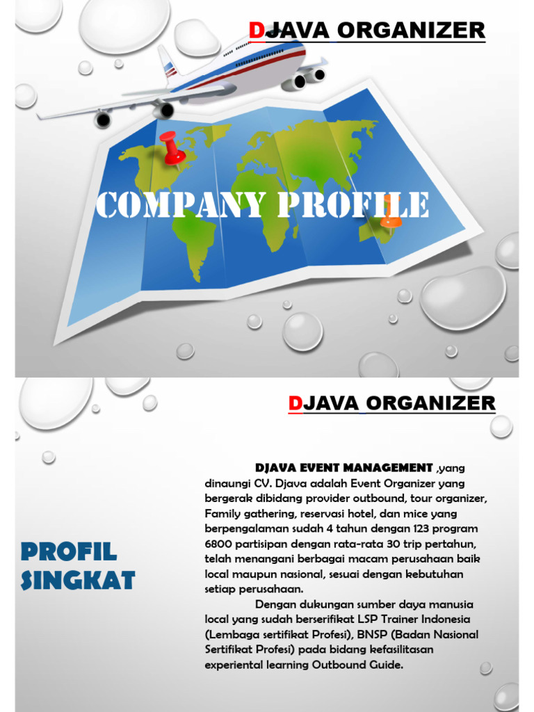 Company Profil Djava | PDF