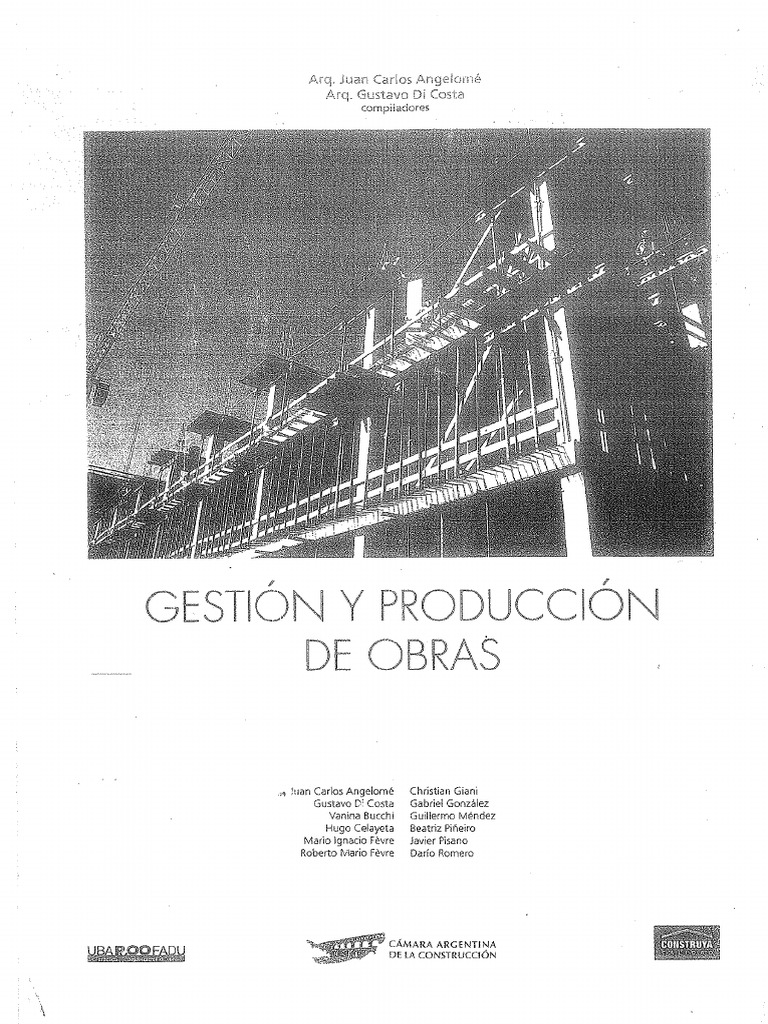 Libro PYOO, Angelomé | PDF | Ciencias sociales