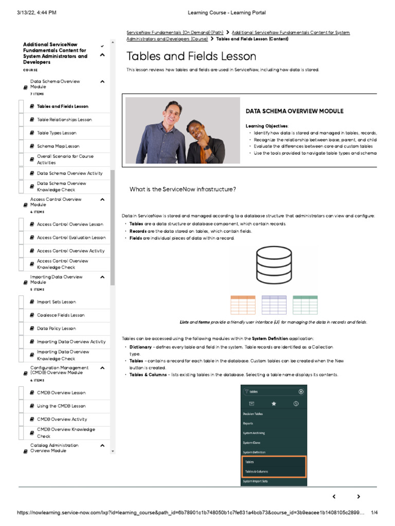 Tables and Fields Lesson | PDF | Databases | Table (Database)