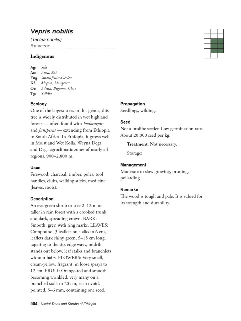 Vepris Nobilis ETH | PDF