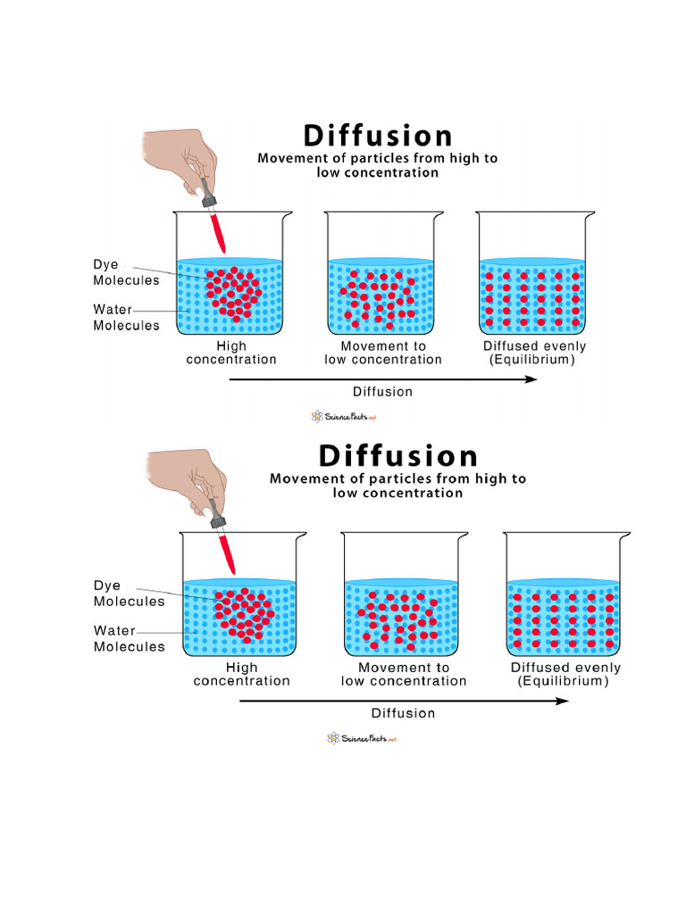 Diffusion of Dye in Water | PDF