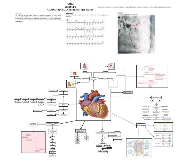 MODULE 9 (CARDIO 1 - THE HEART) .Drawio | PDF | Heart | Atrium (Heart)