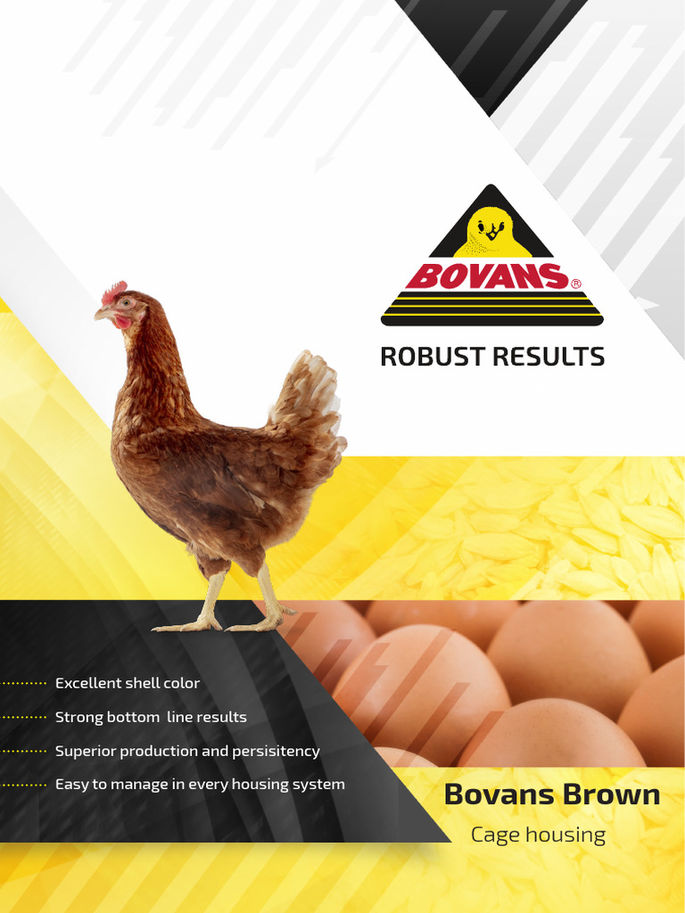 Bovans Brown: Robust Layer Breed Guide | PDF | Ornithology | Birds