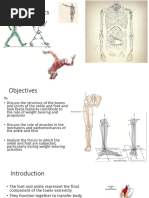 Goniometry Landmarks | PDF | Anatomical Terms Of Motion | Anatomical ...