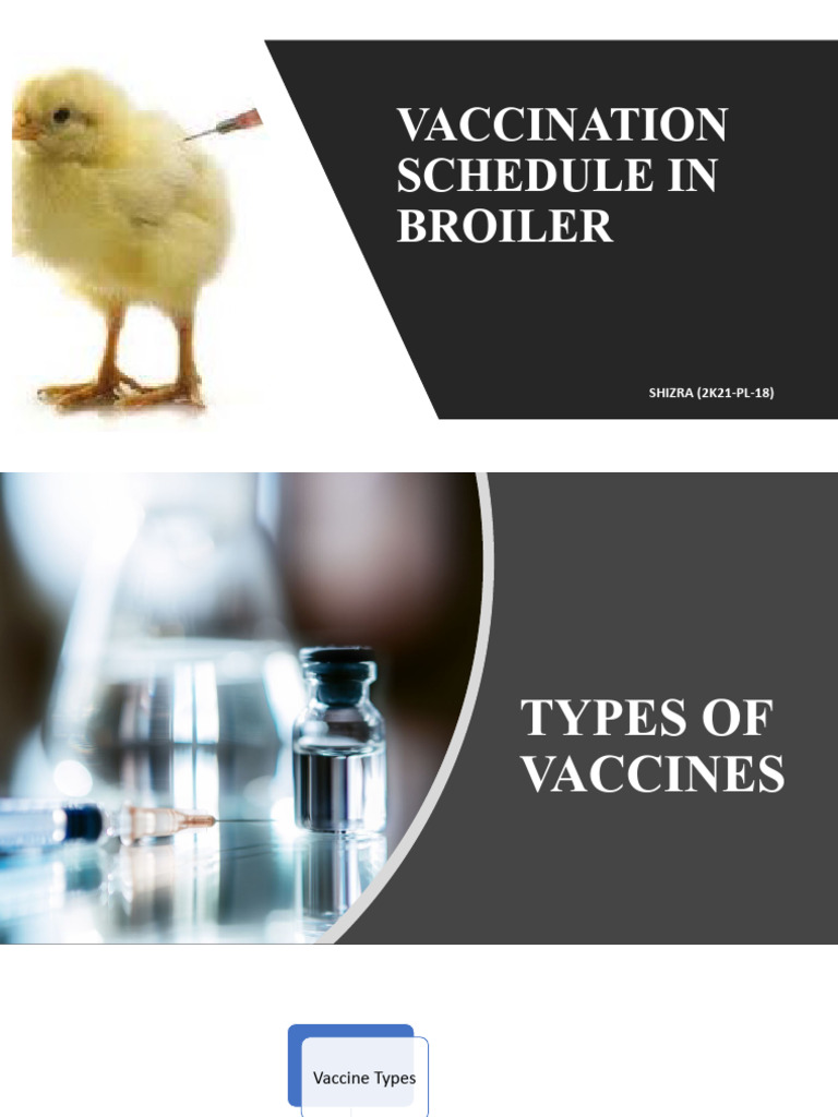 Broiler Vaccination Schedule Overview | PDF
