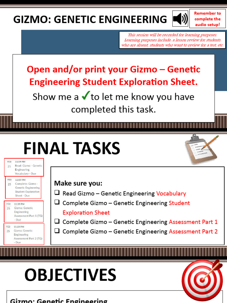 Genetic Engineering Learning Session Guide | PDF | Games & Activities