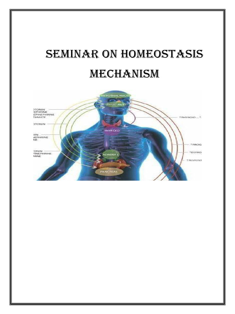 HOMEOSTASIS MECHANISM | PDF | Homeostasis | Human Body
