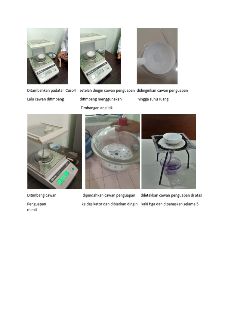 Praktikum Rumus Garam Terhidrat | PDF | Memasak, Makanan, & Anggur