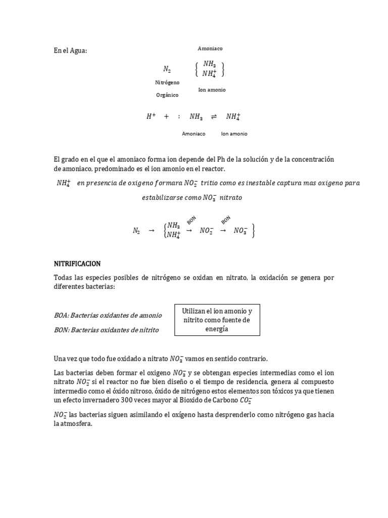 Info Basica - Nitrificacion y Desnitrificacion | PDF | Sustancias químicas | Ciencias fisicas