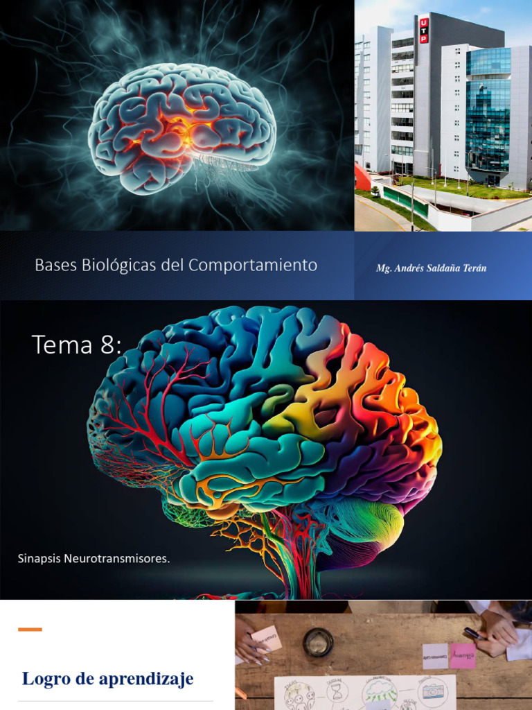 Sinapsis y Neurotransmisores: Tipos y Funciones | PDF | Sinapsis ...