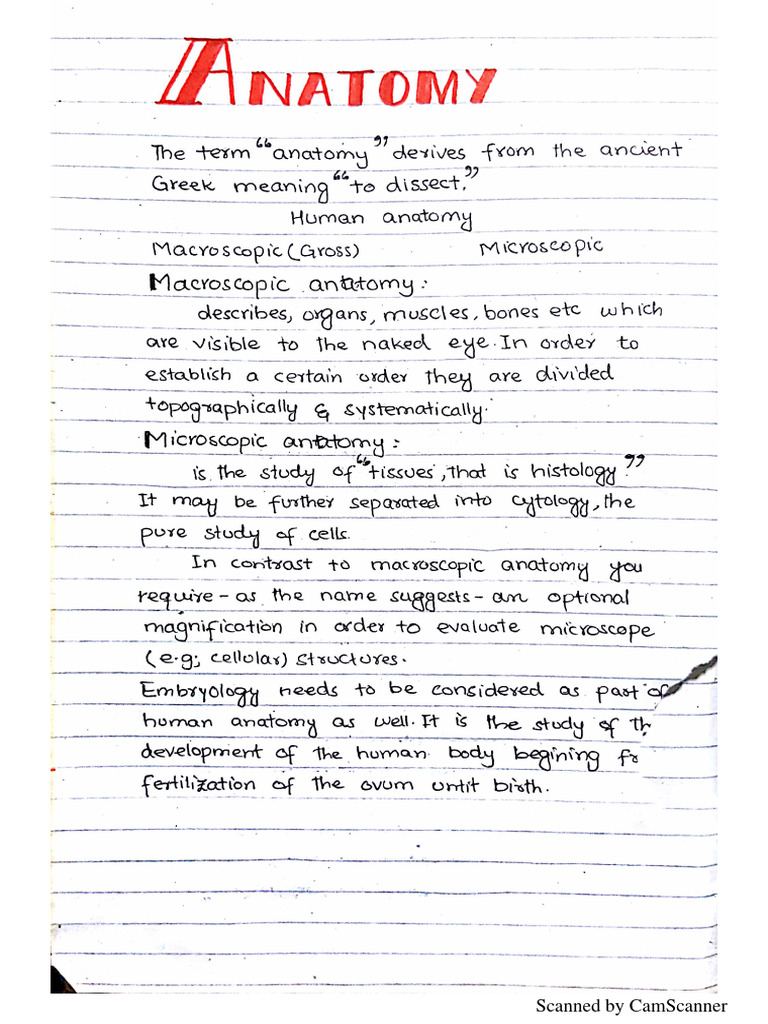 Anatomy Upper And Lower Limb Pdf Limbs Anatomy Soft Tissue
