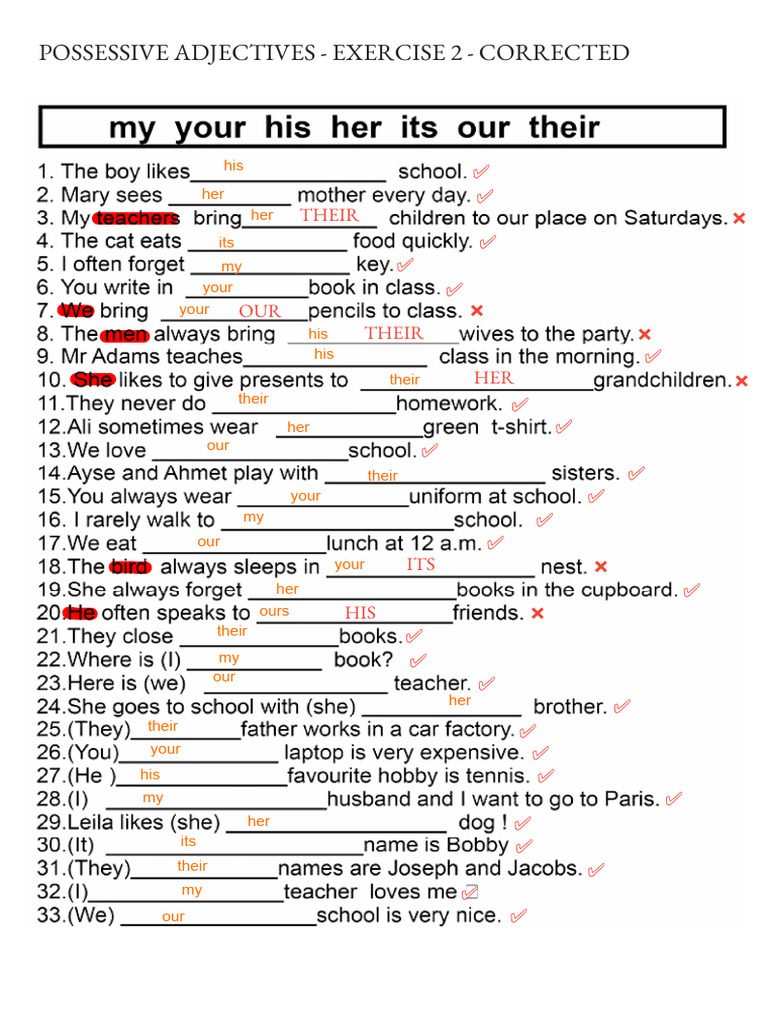 Possessive Adjectives - Exercises 2 - CORRECTED | PDF