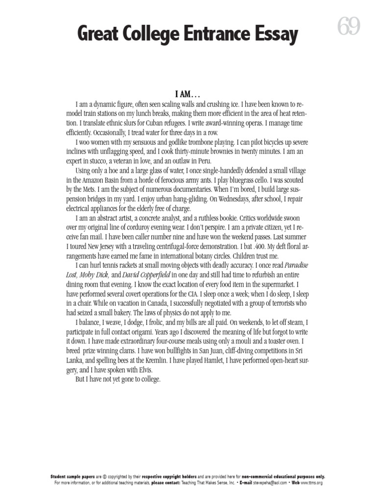 Entrance Essay | PDF