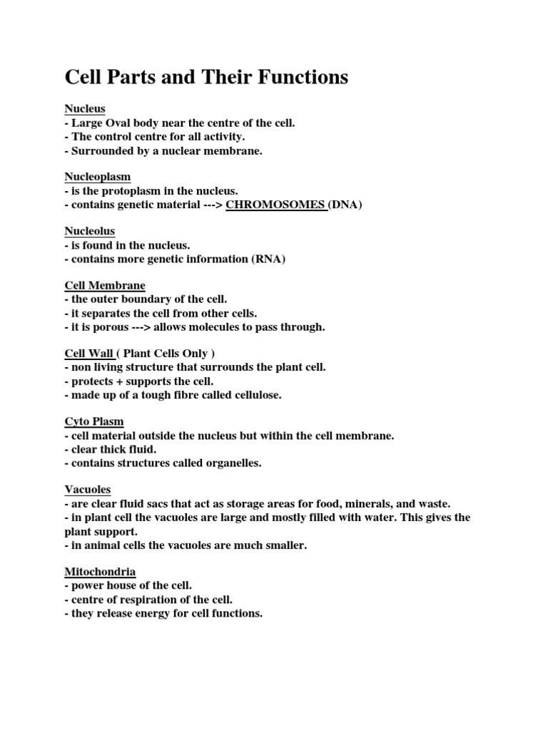 Cell Parts and Their Functions | PDF | Cell Nucleus | Cell (Biology)