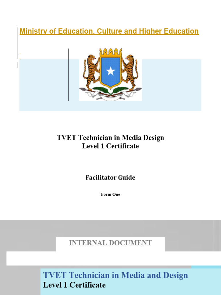 Level 1 - Media Design Facilator Guide - V2.0 | PDF | Project ...