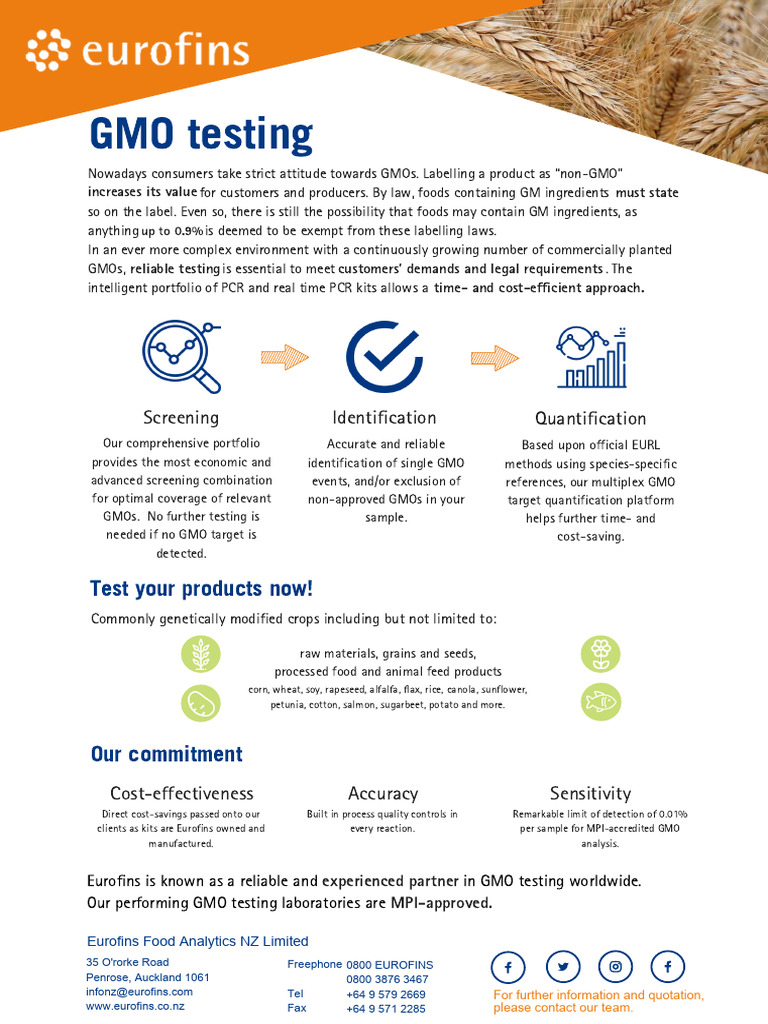gmo-brochure | PDF | Genetically Modified Organism | Genetically ...