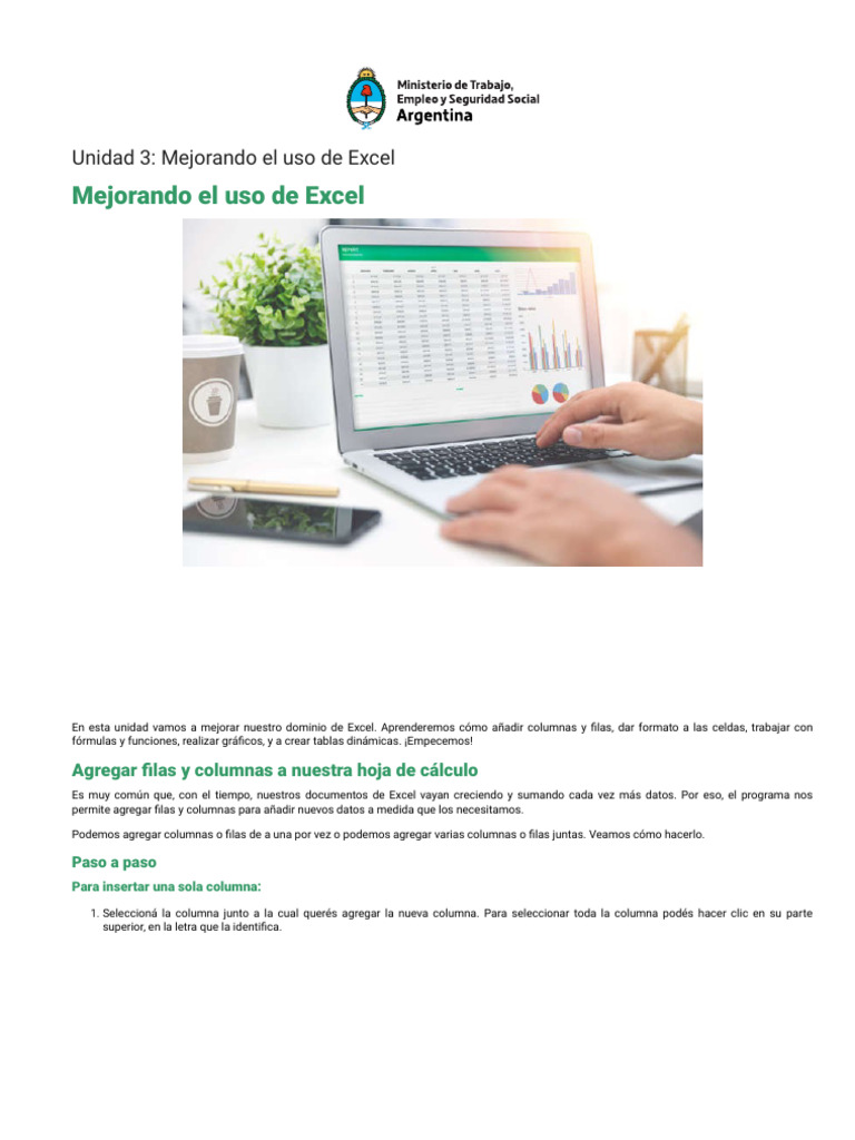 Unidad 3 - Mejorando El Uso de Excel Con ImÃ¡genes | PDF | Métodos y ...
