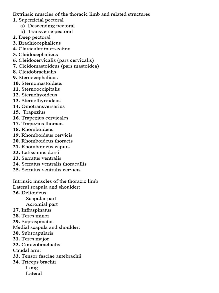 Muscles-Names | PDF | Human Leg | Soft Tissue