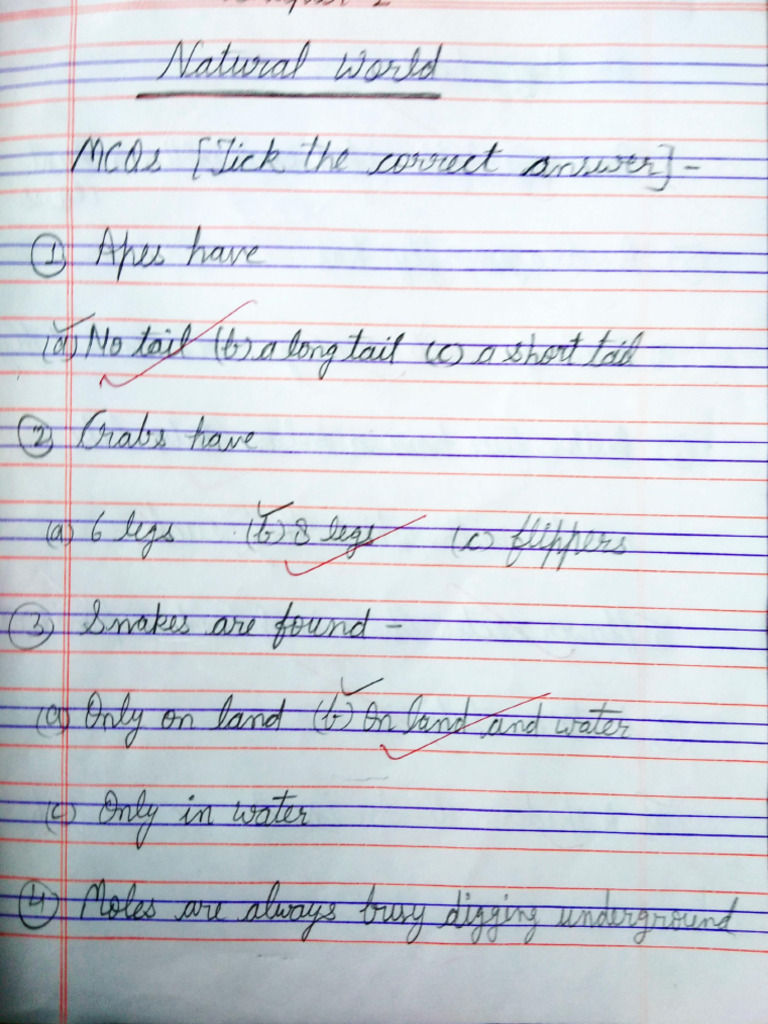 GK Notebook Work Class-4 | PDF