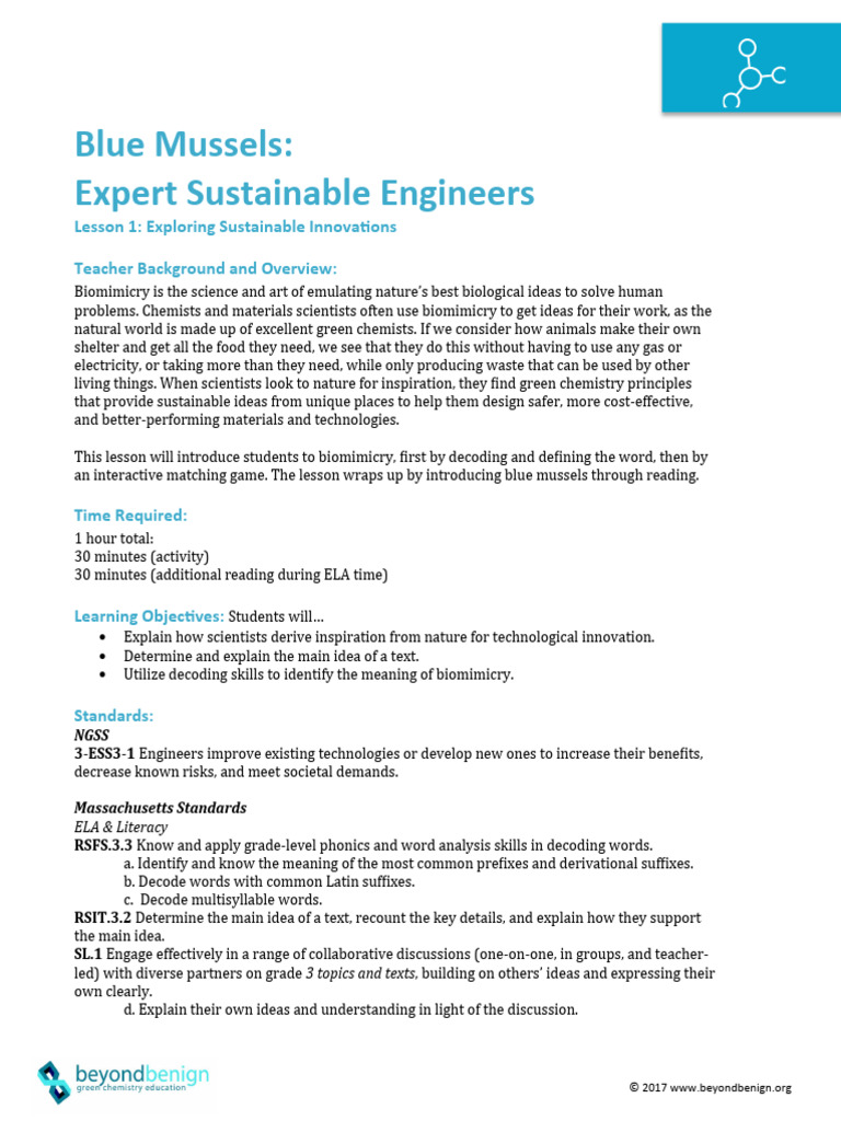 Biomimicry & Blue Mussels Lesson | PDF | Adhesive | Nature