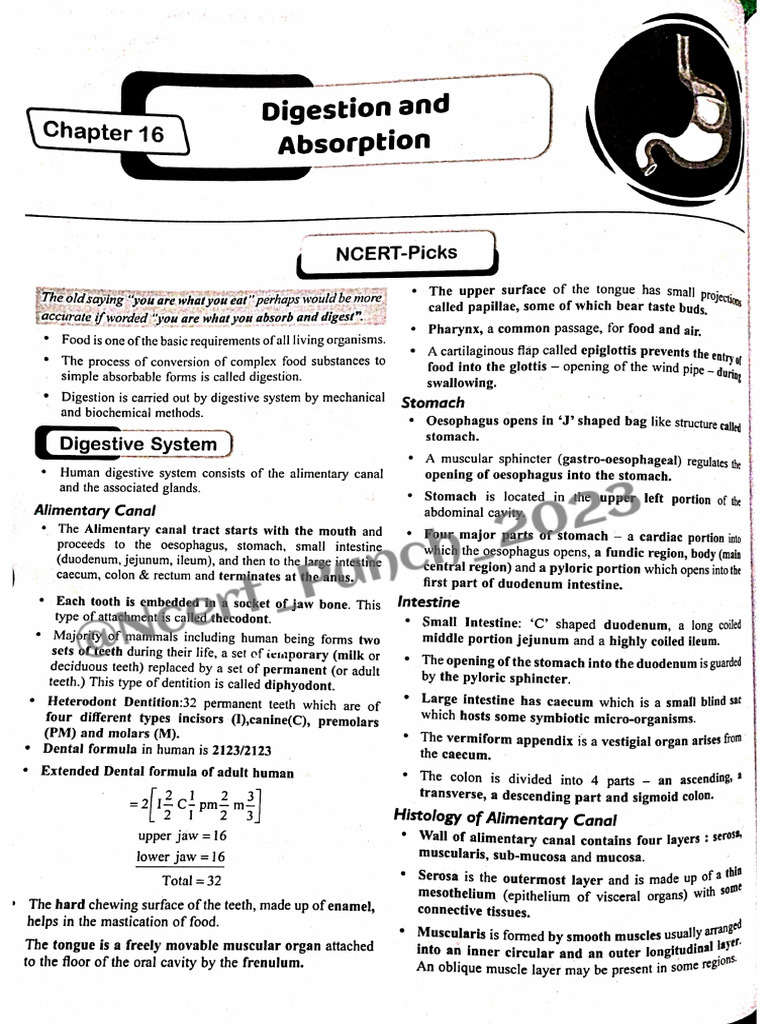 PW Ncert Punch Biology | PDF