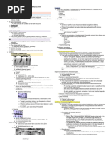 MOH Restorative Dental Referral Guide | PDF | Dentistry | Periodontology