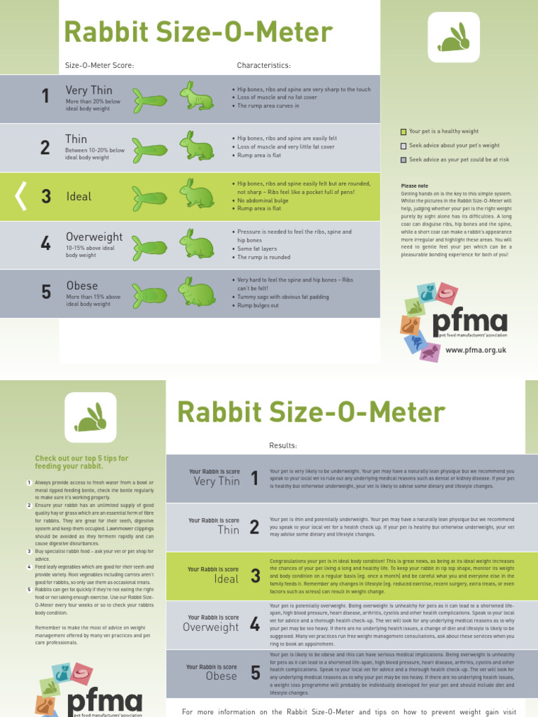 Pet Size o Meter Rabbit | PDF | Obesity | Dieting