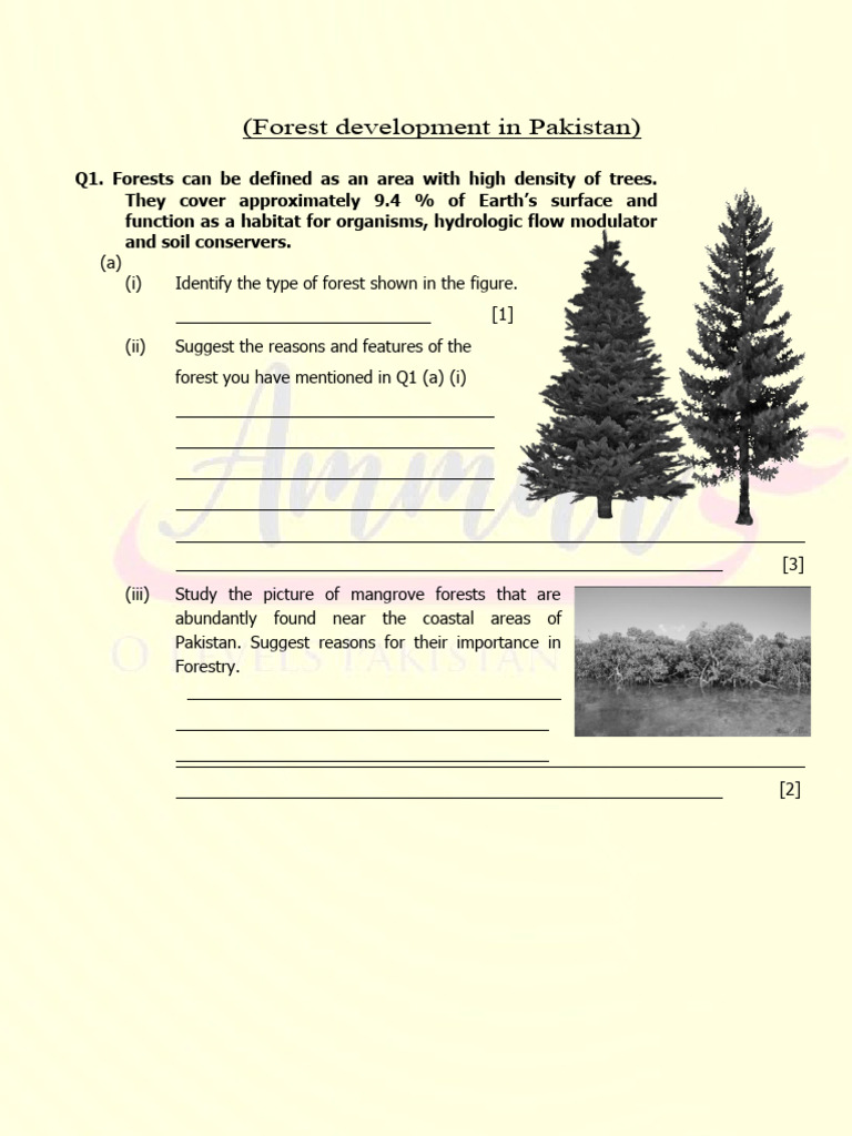 5 - Forest Development in Pakistan WS | PDF | Forests | Deforestation