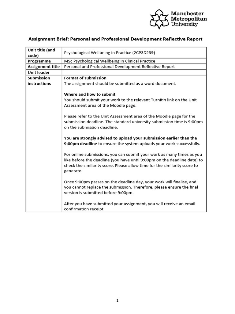 PWIP Assignment Brief | PDF