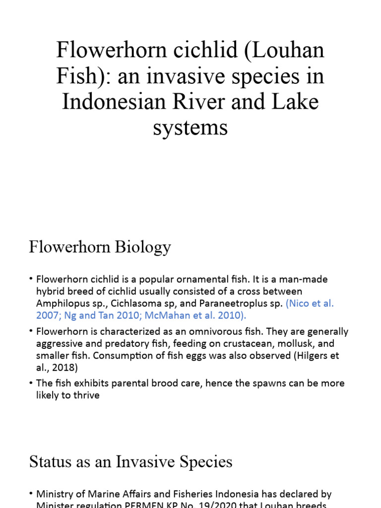 Flowerhorn Cichlid (Louhan Fish) | PDF | Invasive Species | Introduced ...