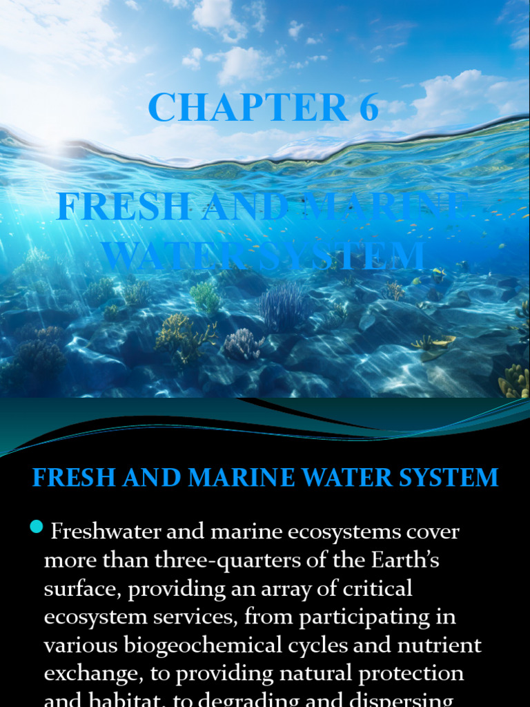 Marine | Download Free PDF | Oceans | Water