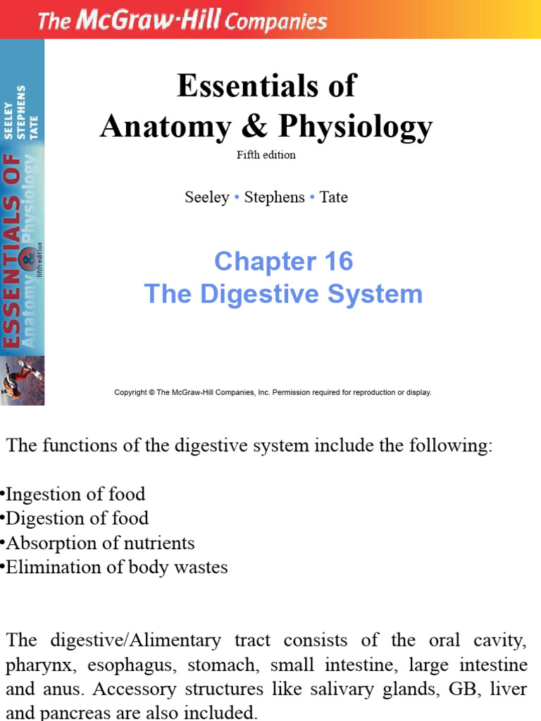 Digestive System.ppt | PDF | Stomach | Gastrointestinal Tract