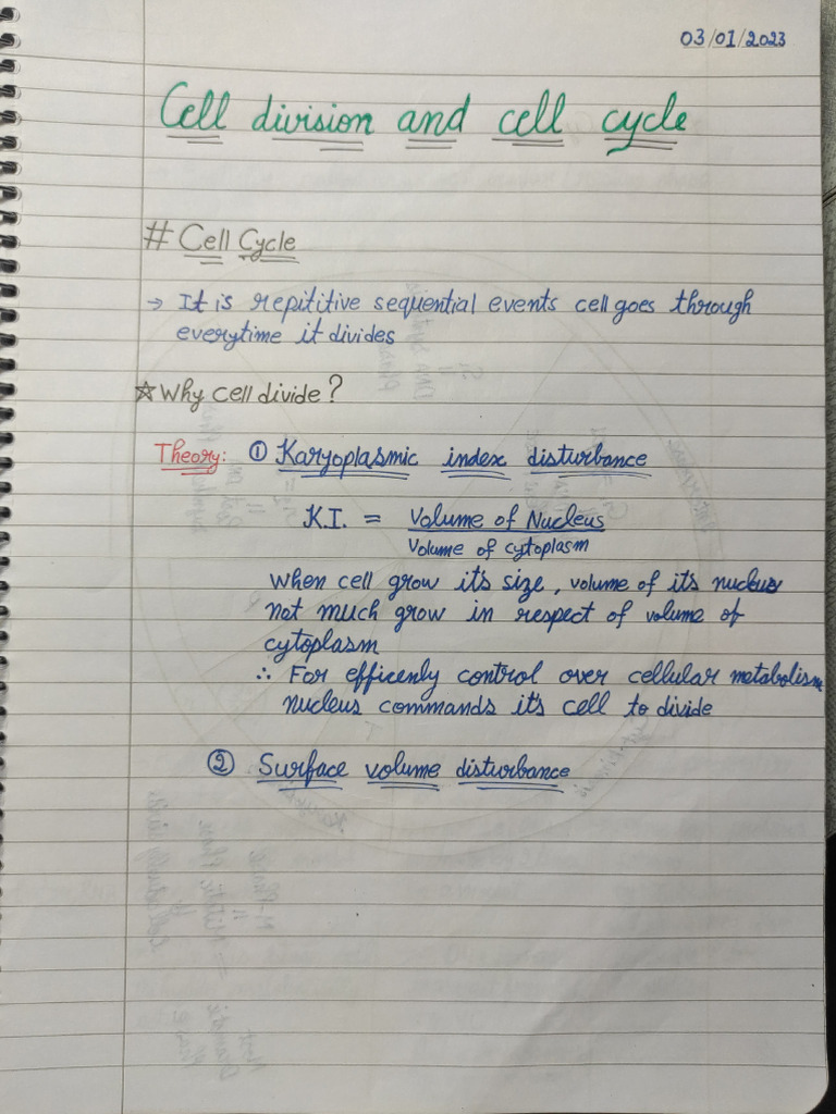 Cell Cycle and Division Class 11 Notes | PDF
