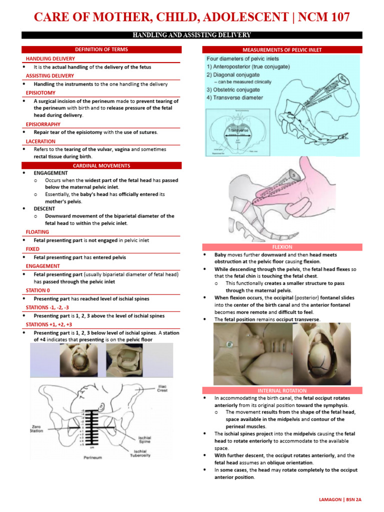 Handling and Assisting Delivery | PDF | Childbirth | Pelvis