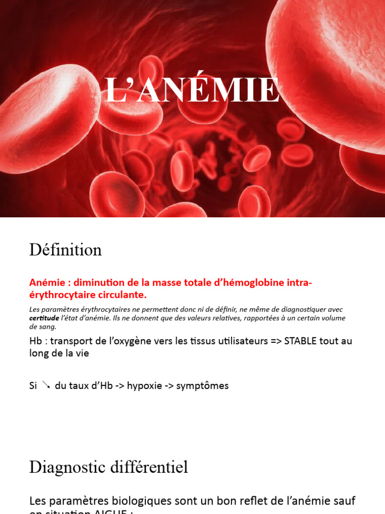ANÉMIE | PDF | Anémie | Vitamine B12
