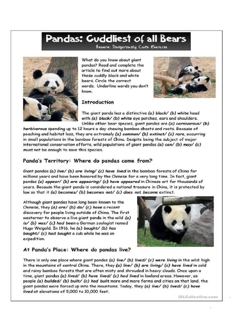 Panda | PDF
