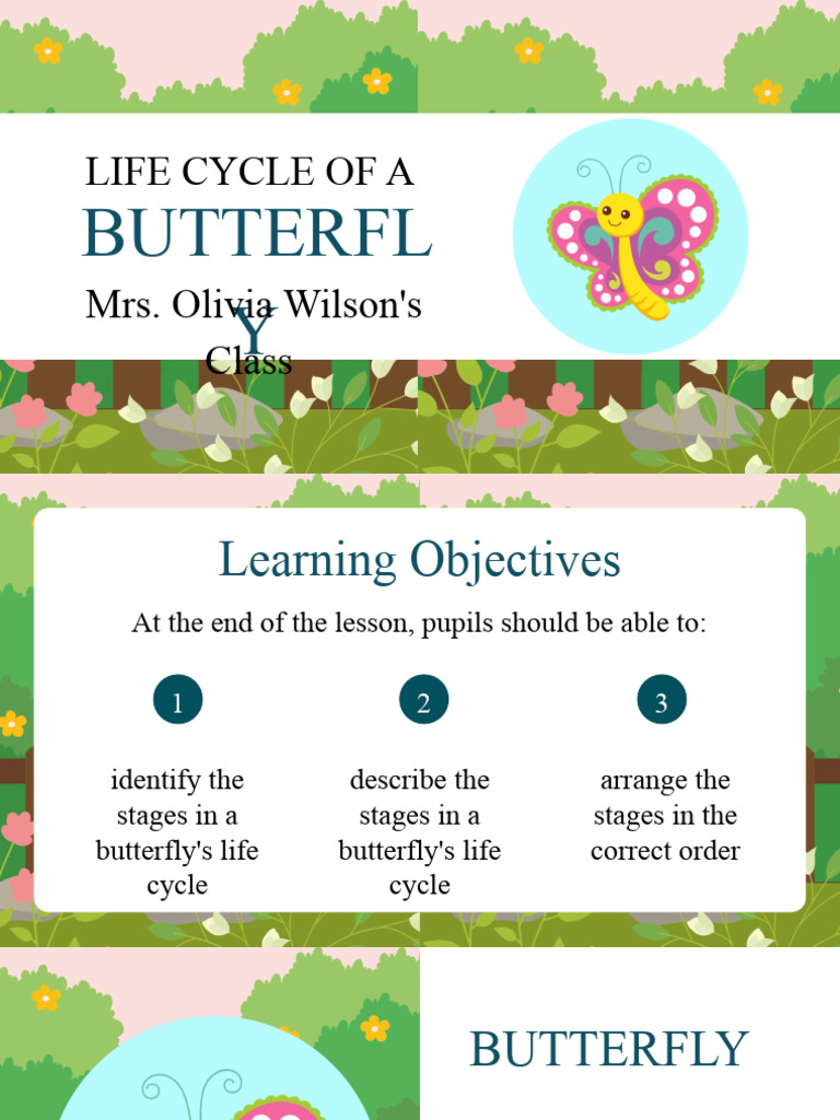 Butterfly Life Cycle Overview | PDF
