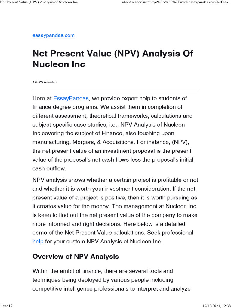 Net Present Value (NPV) Analysis of Nucleon Inc | PDF