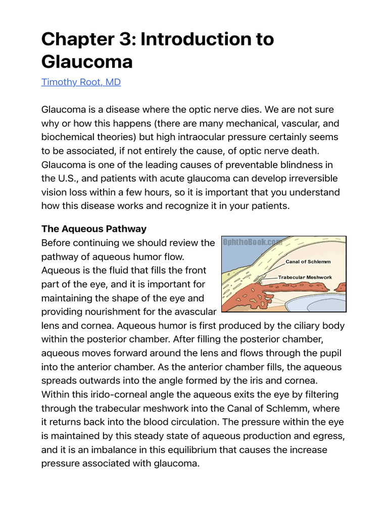 Chapter 3 - Introduction To Glaucoma | PDF | Glaucoma | Vision