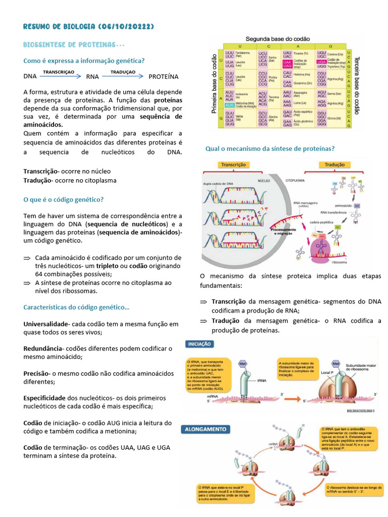 RESUMO DE BIOLOGIA | PDF | Código genético | Tradução (Biologia)