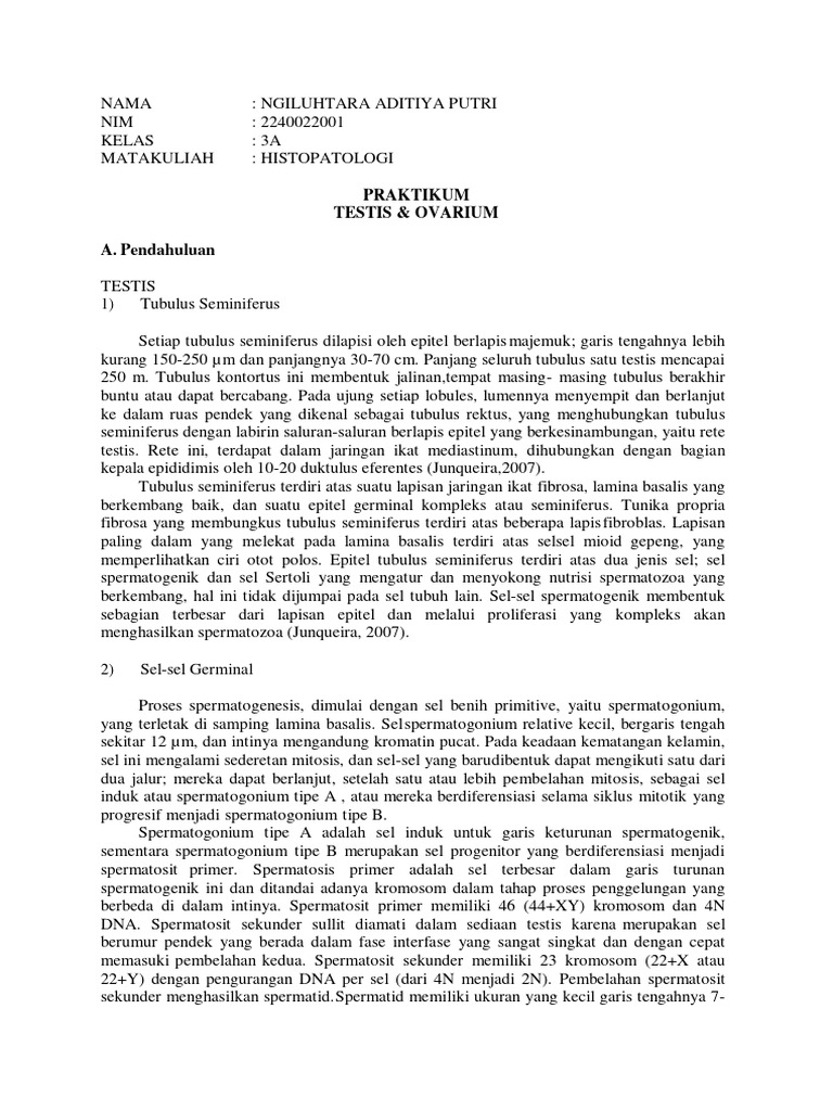 Histopatologi Testis & Ovarium | PDF | Kesehatan Holistik | Sains ...