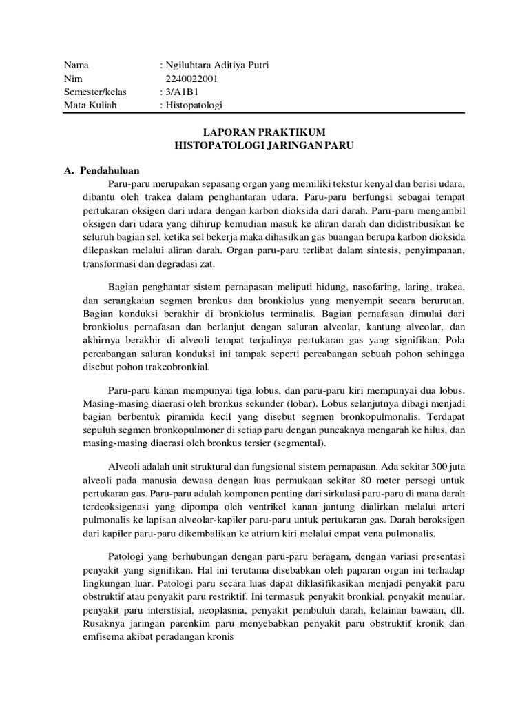 Histopatologi Pulmo Normal Dan Abnormal | PDF