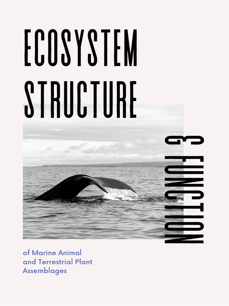Blue Clean and Contemporary Ecosystem School and Uni Project Booklet ...
